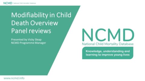 Modifiability in Child Death Overview Panel reviews